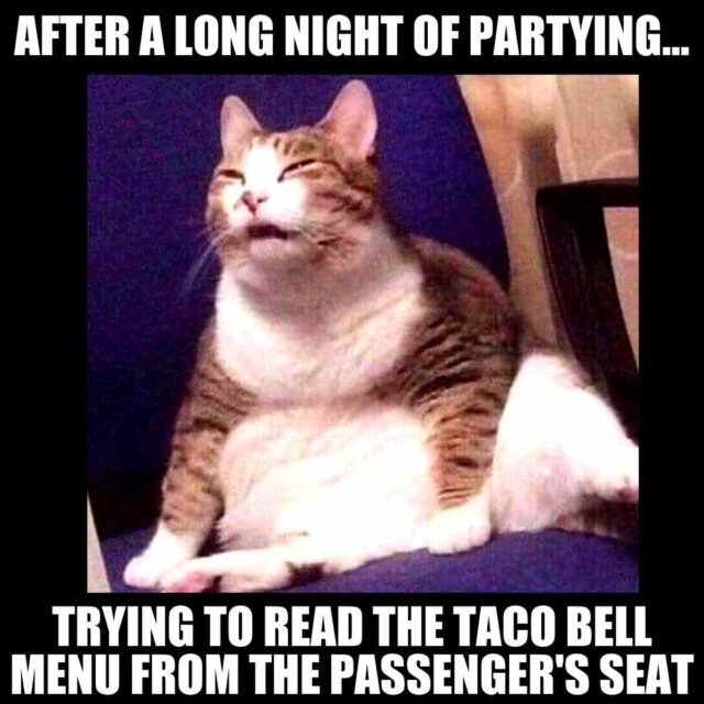 Funny Taco Bell Memes About Running to the Bell