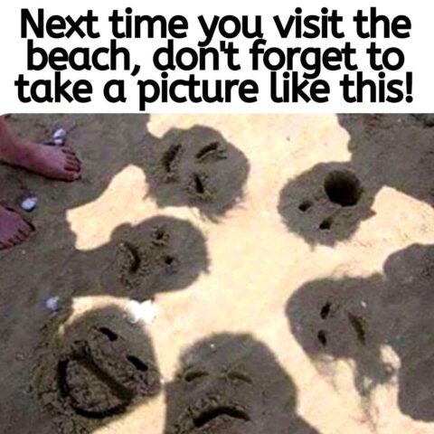 Beach Memes - 25+ Funny Images About Sand, Water And Ocean