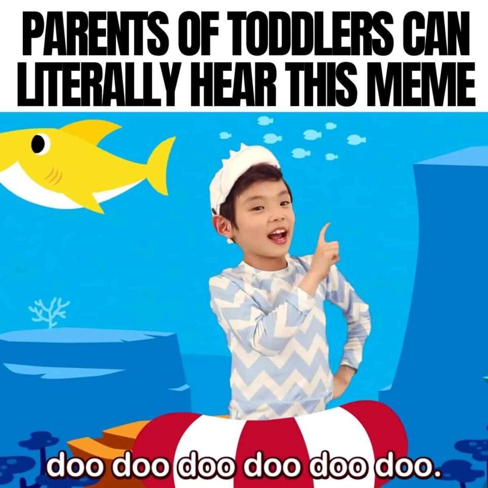 Funny Shark Memes To Sink Your Teeth Into