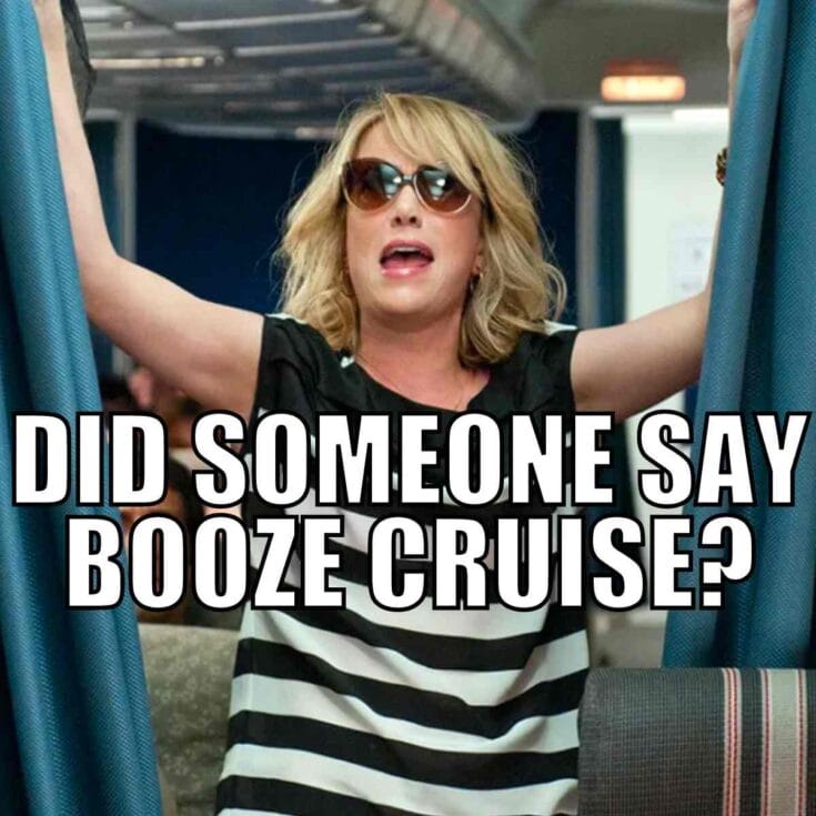 These 30 Cruise Memes Are Funnier Than The Towel Animals