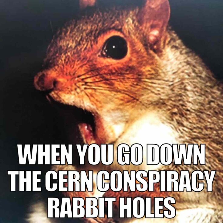 CERN Memes That Accelerate Humor Faster Than Light (Almost)