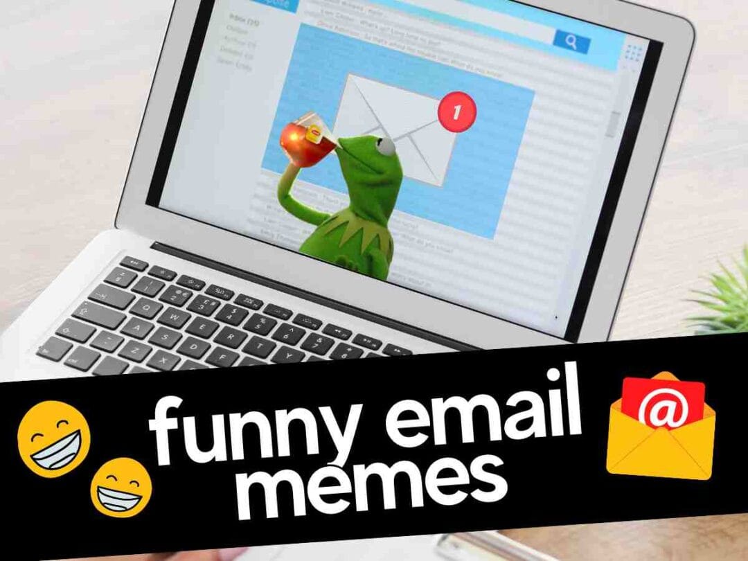 45 Best Email Memes That Perfectly Capture Inbox Chaos