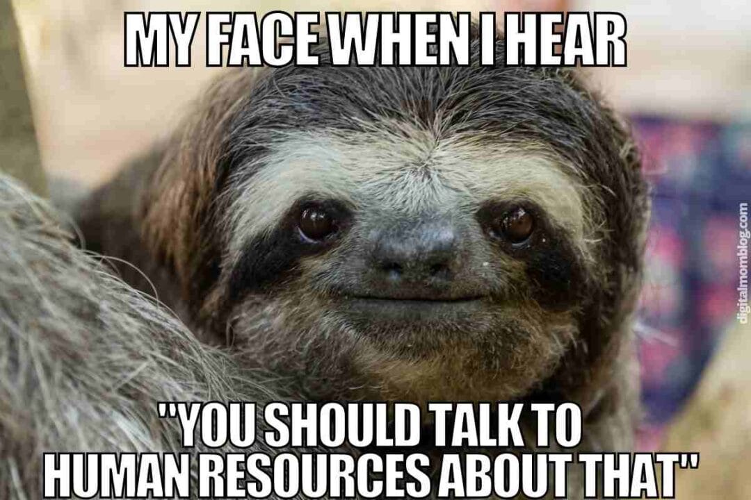 250 Best Funny Work Memes To Share With Coworkers In 2024
