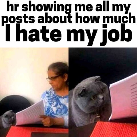 Funny HR Memes And Images About Human Resources In 2024