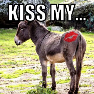 30 Kissing Memes That Will Make Your Lips Curl