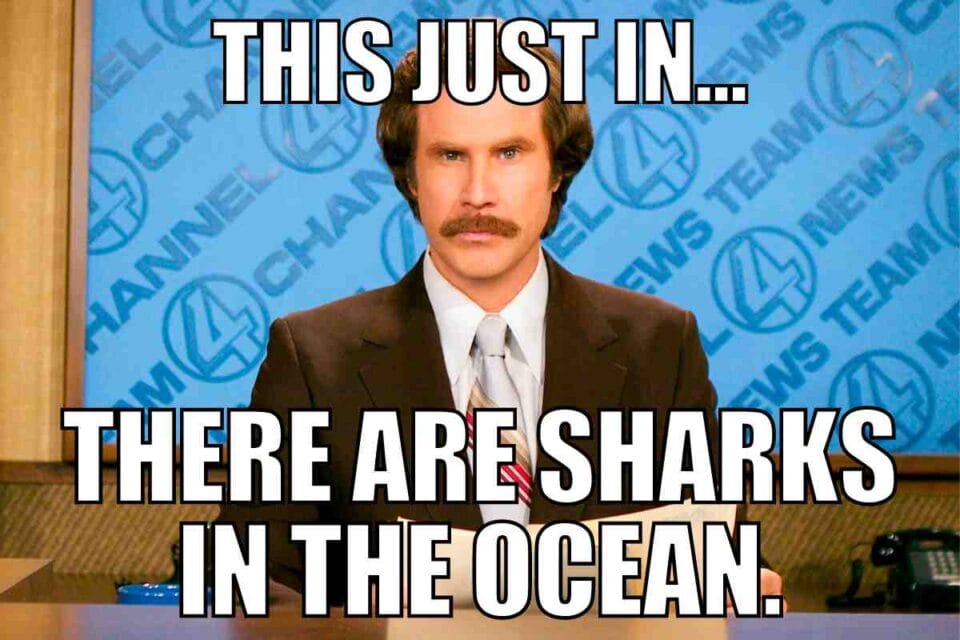 Funny Shark Memes To Sink Your Teeth In For Shark Week 2023