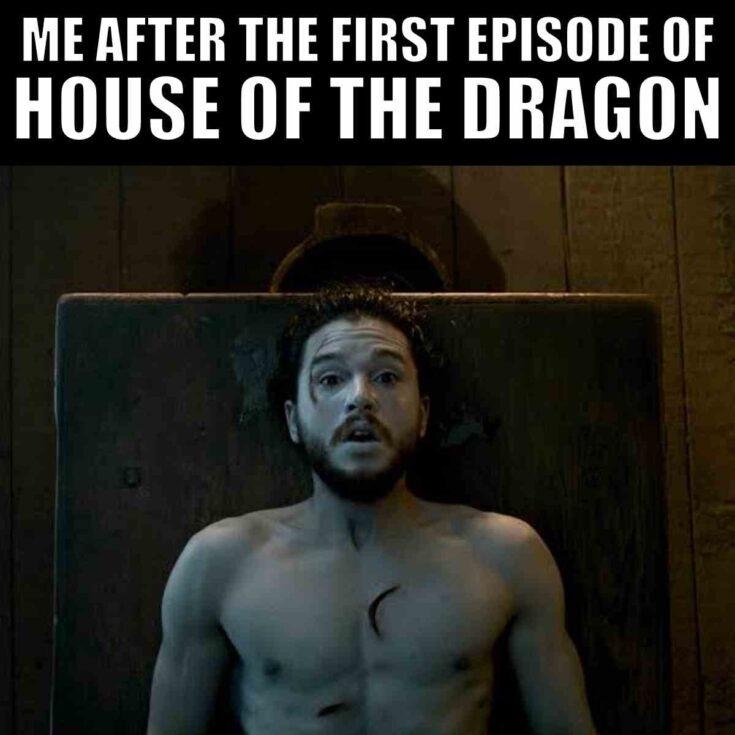 40 Best House Of The Dragon Memes For GOT Fans