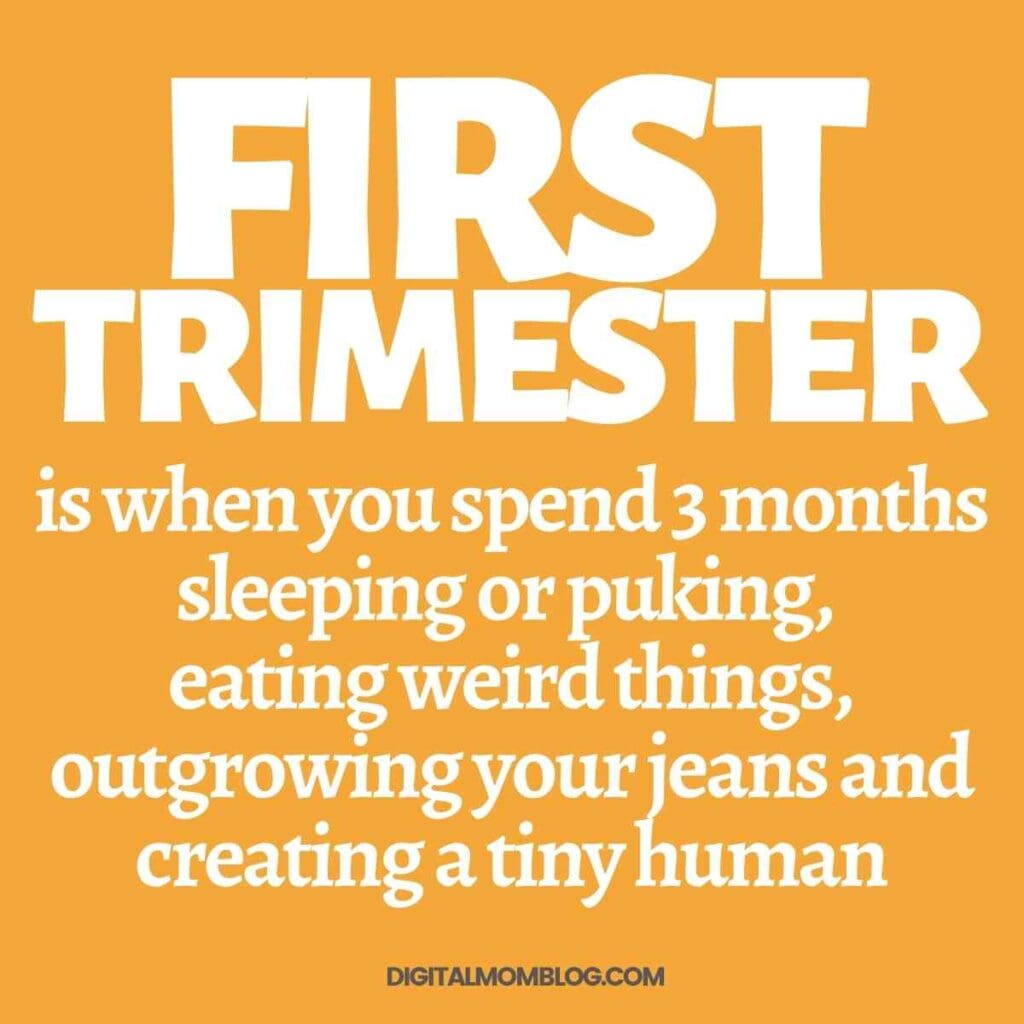 50 Hilarious Pregnancy Memes Any Mom-To-Be Needs To See