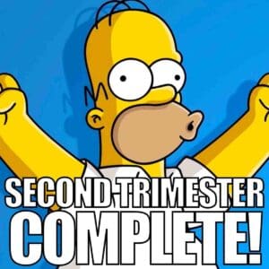 50 Hilarious Pregnancy Memes Any Mom-To-Be Needs To See