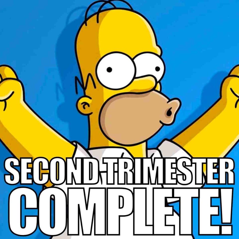 50 Hilarious Pregnancy Memes Any Mom-To-Be Needs To See