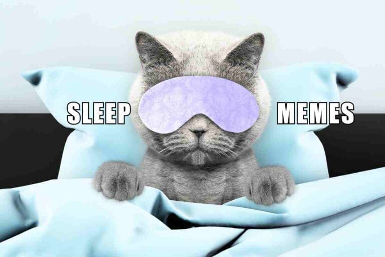 75 Funny Sleep Memes So Great You Will Forget You Are Tired