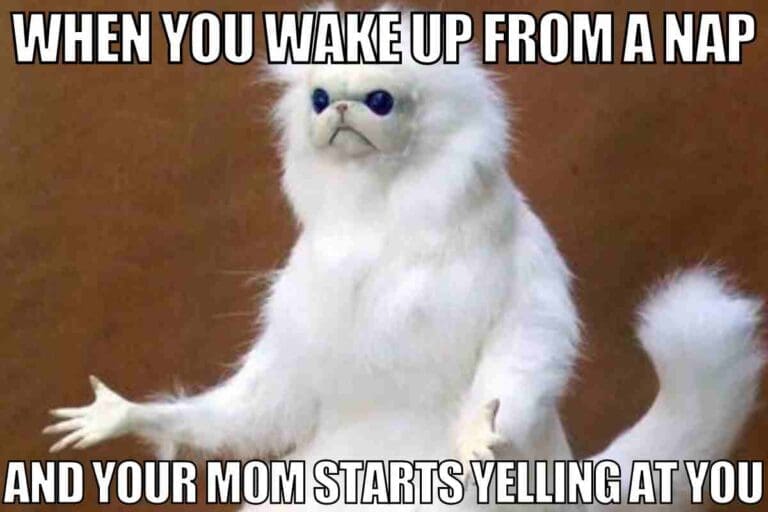 75 Funny Sleep Memes So Great You Will Forget You Are Tired