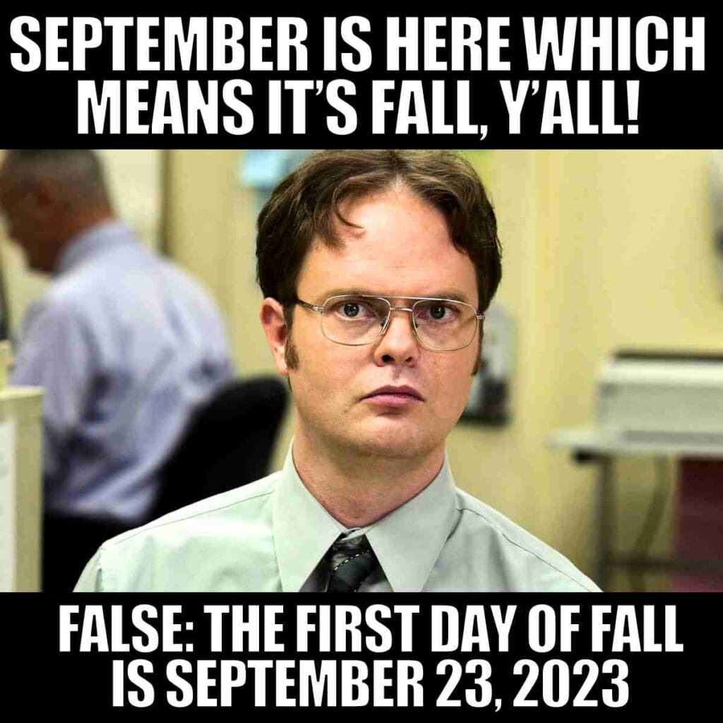 50 Best Fall Memes 2024 To Celebrate The Autumn Season