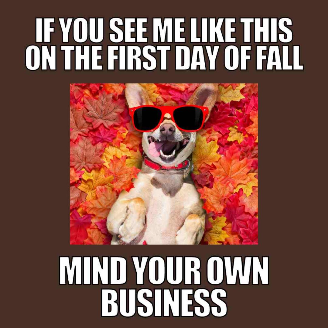 50 Fall Memes That Prove Autumn Is The Best Time Of The Year