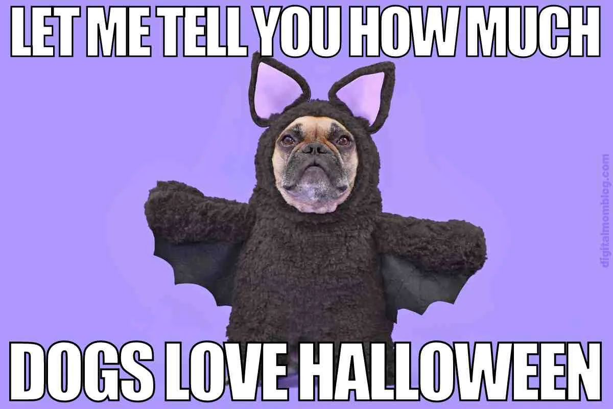 65 Hilarious Halloween Memes To Boost Your Spooky Spirit