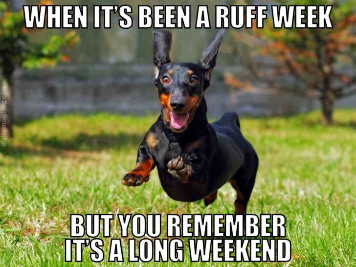 Long Weekend Memes: When 3 Days Off Feels Like Heaven
