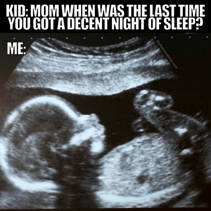 Funny Insomnia Memes For 3am Laughs When You Cant Sleep