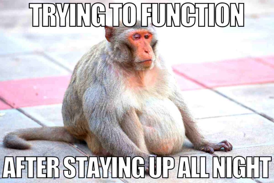 Funny Insomnia Memes for 3am Laughs When You Cant Sleep