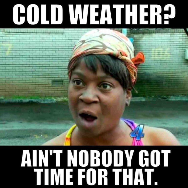 20 Hilarious Cold Weather Memes To Warm Your Heart And Feed
