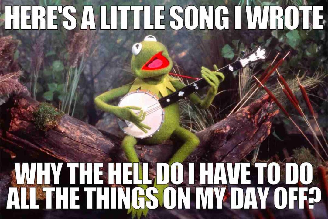 50 Funny Saturday Memes And Images For A Great Weekend