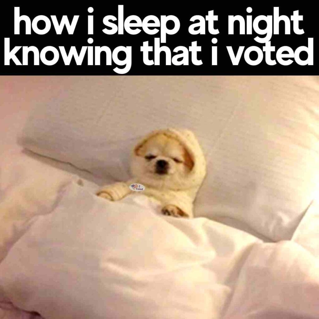 Best Vote Memes 2024: Using Humor To Encourage Voting