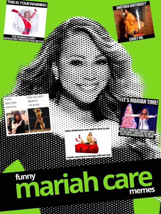 29 Funny Mariah Carey Memes Honoring This Diva