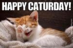 50 Awesome Saturday Memes To Supercharge Your Weekend Vibes