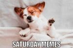 50 Awesome Saturday Memes To Supercharge Your Weekend Vibes