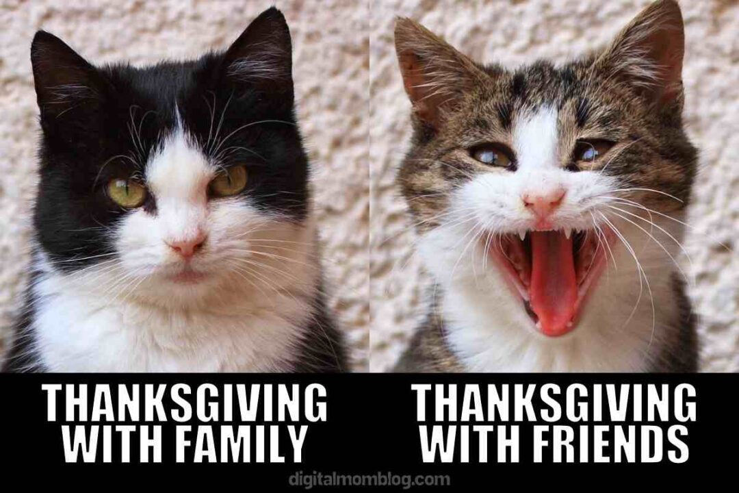 Friendsgiving Memes 2023 - Fun For Thanksgiving With Friends