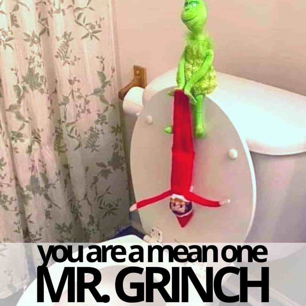 25 Hilarious Grinch Memes: For When You Feel The Holiday Grump
