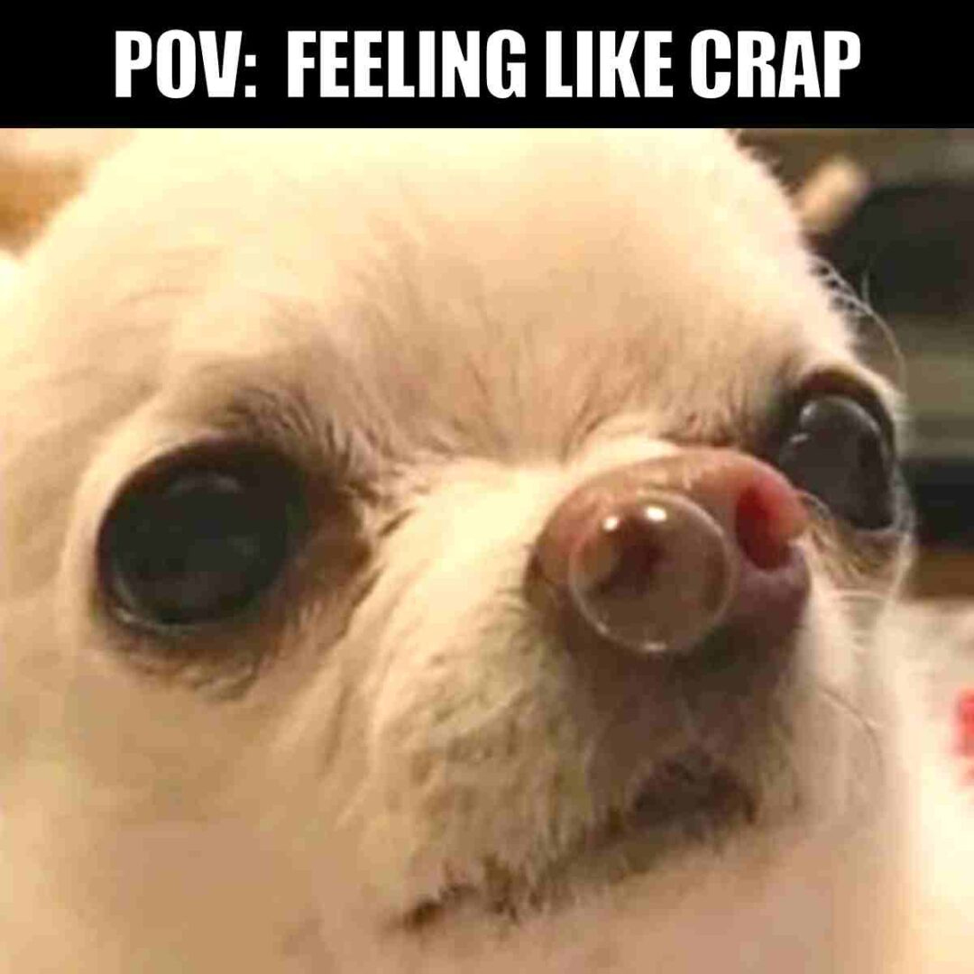 25 Best Sick Memes: A Hilarious Prescription for Laughter!