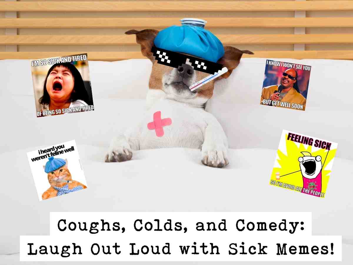 25 Best Sick Memes: A Hilarious Prescription For Laughter!