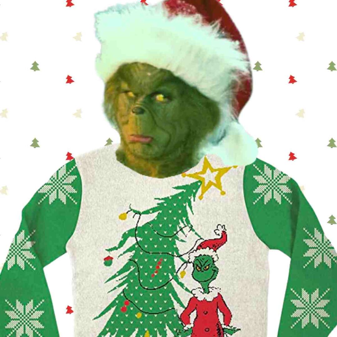 25 Hilarious Grinch Memes: For When You Feel The Holiday Grump