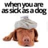 25 Sick Memes And Humor For The Ill And Not Feeling Well