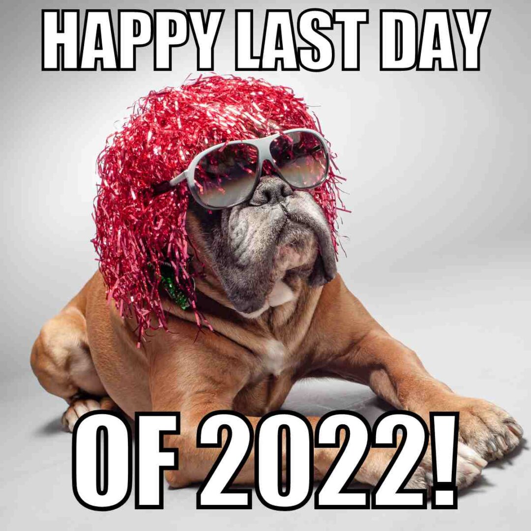 Funny New Years Eve Memes To Ring In 2023