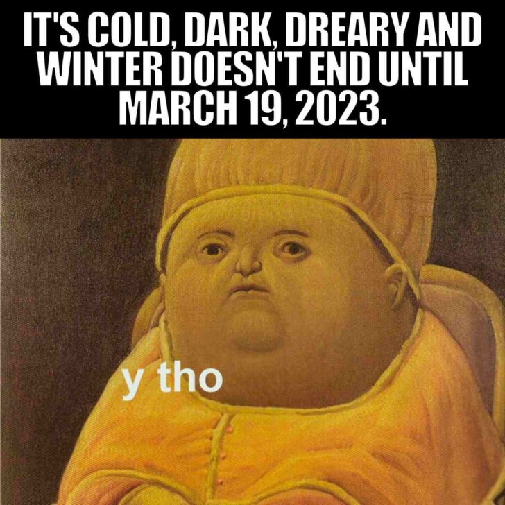 Winter Memes 2023 To Keep You Laughing Through The Cold Season