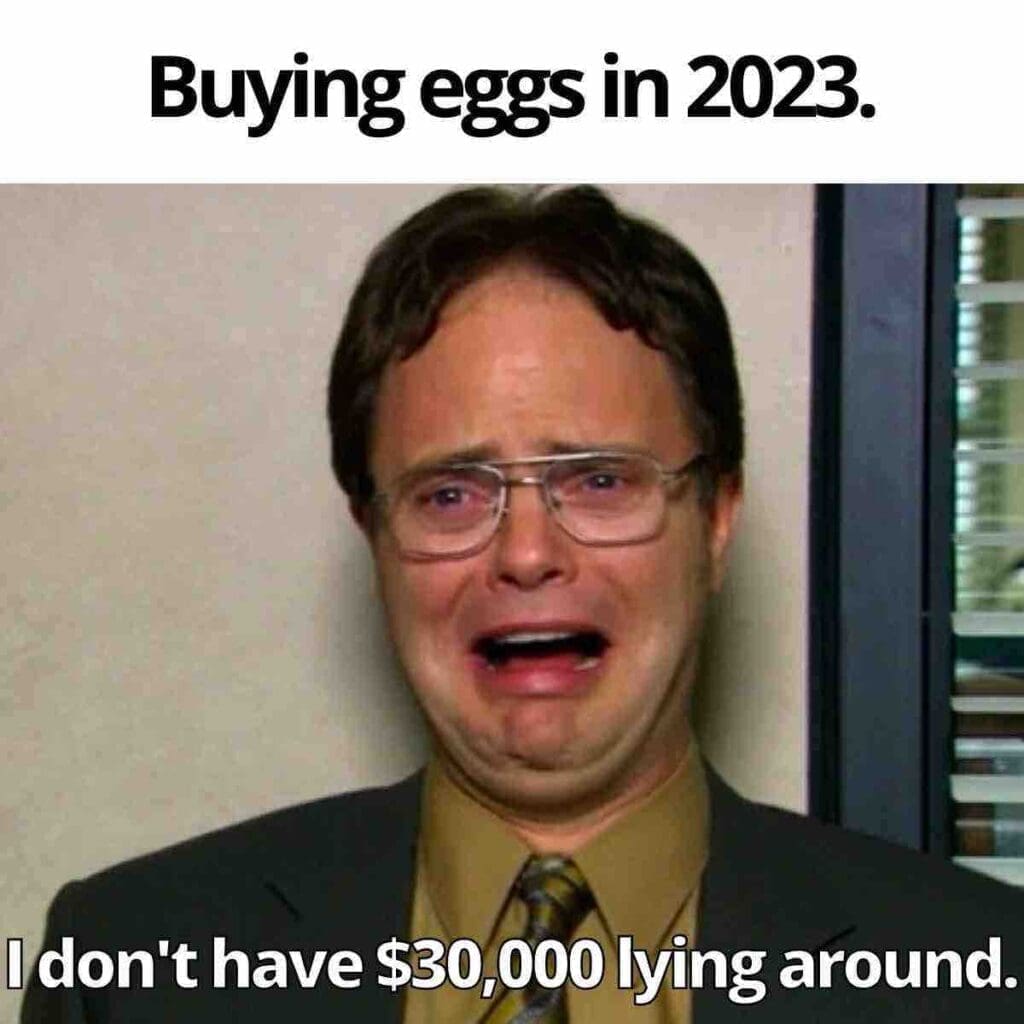 25 Funny Egg Memes About Egg Prices That Will Crack You UP!