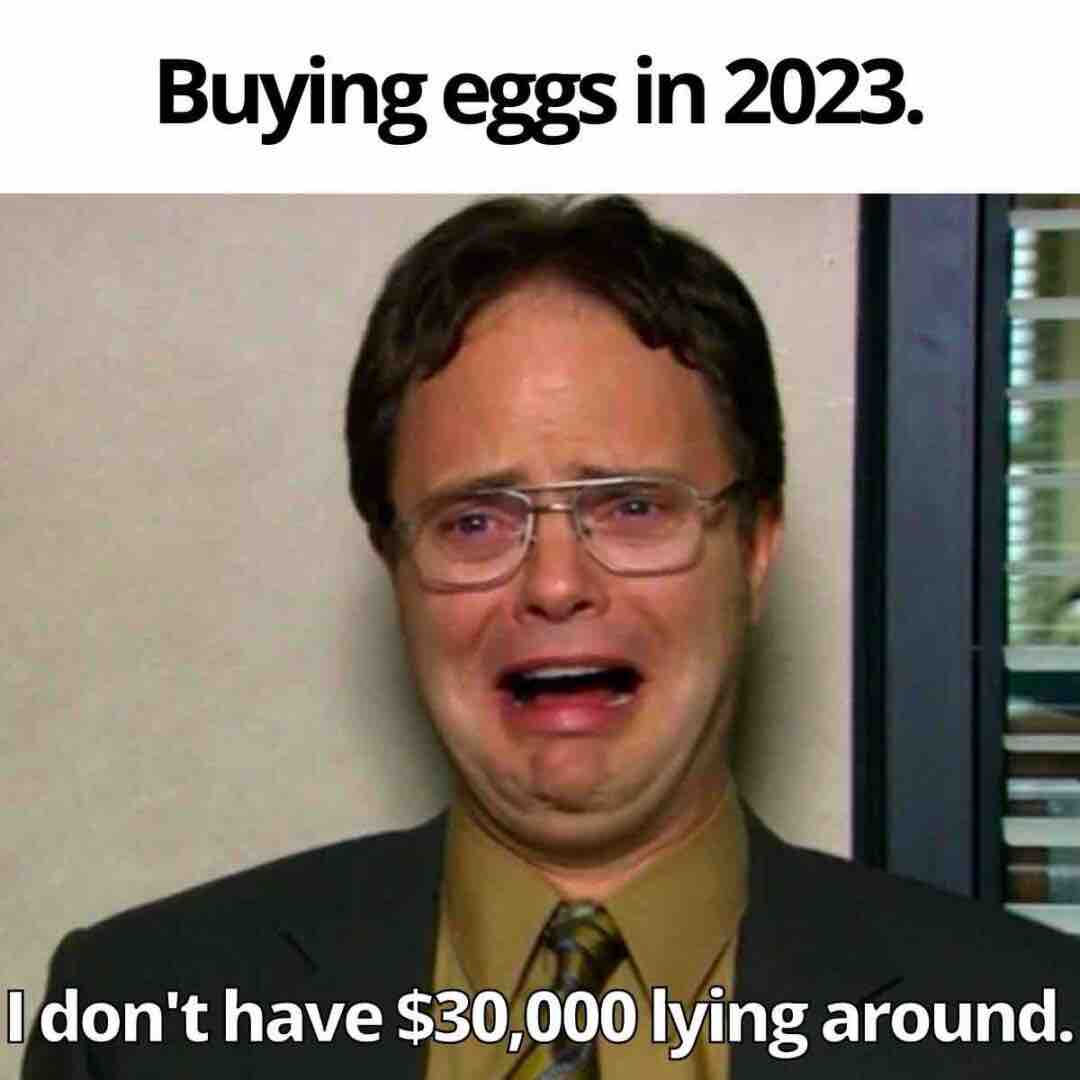 25 Funny Egg Memes About Egg Prices That Will Crack You UP!