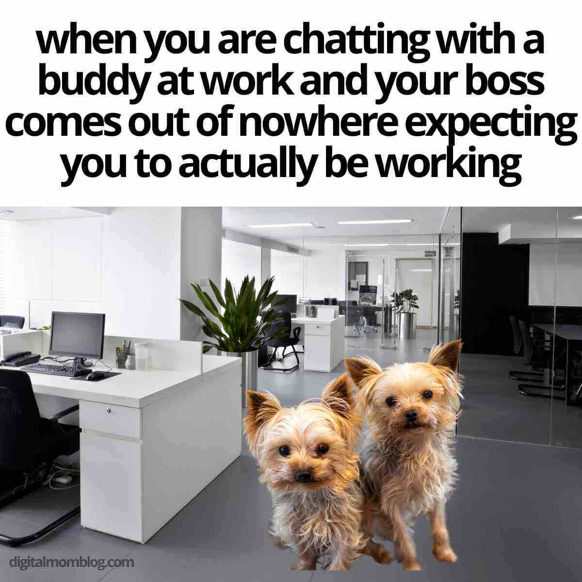 Coworker Meme Coworker Meme