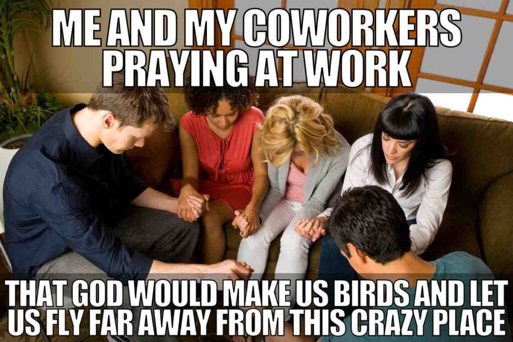 250 Best Funny Work Memes To Share With Coworkers