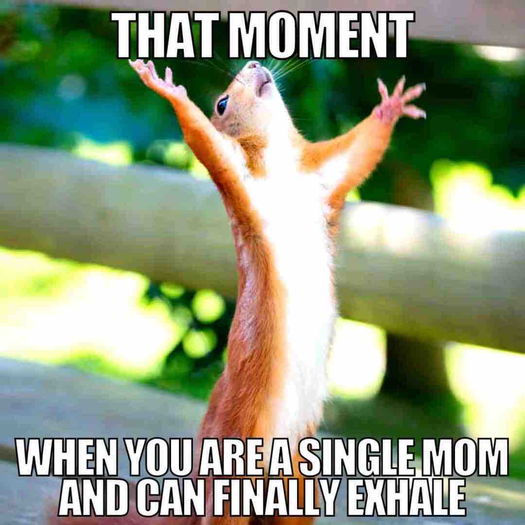 20 Funny Single Mom Memes For Mamas Parenting Alone