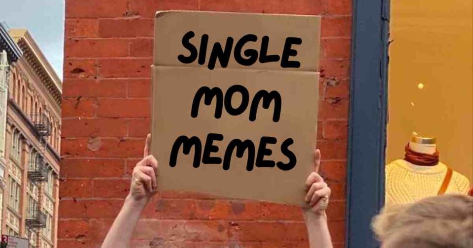 20 Funny Single Mom Memes For Mamas Parenting Alone