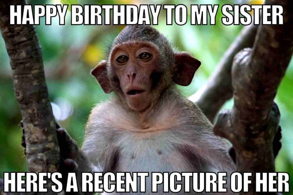 20 Funny Sister Memes And Images That Tell It Like It Is