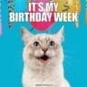 50 Best It's My Birthday Memes To Celebrate Your Special Day