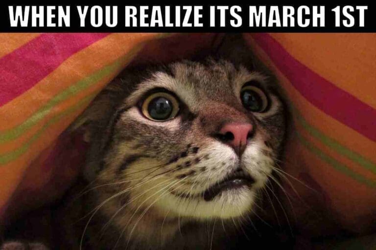 Funny March Memes That Capture The Month’s Vibe