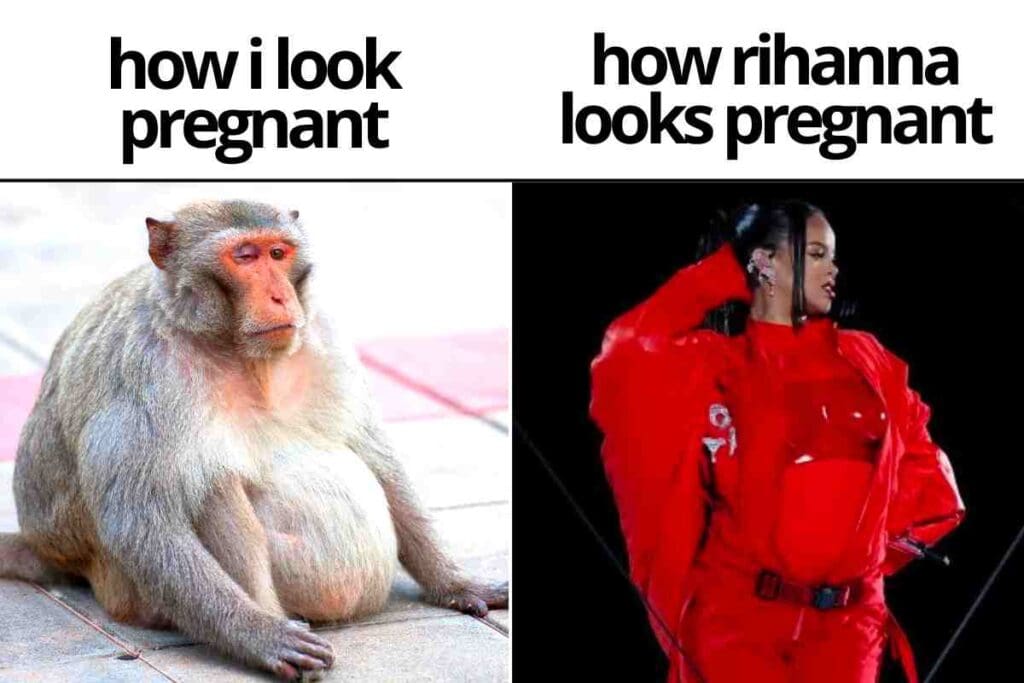 Best Rihanna Memes From Super Bowl 2024