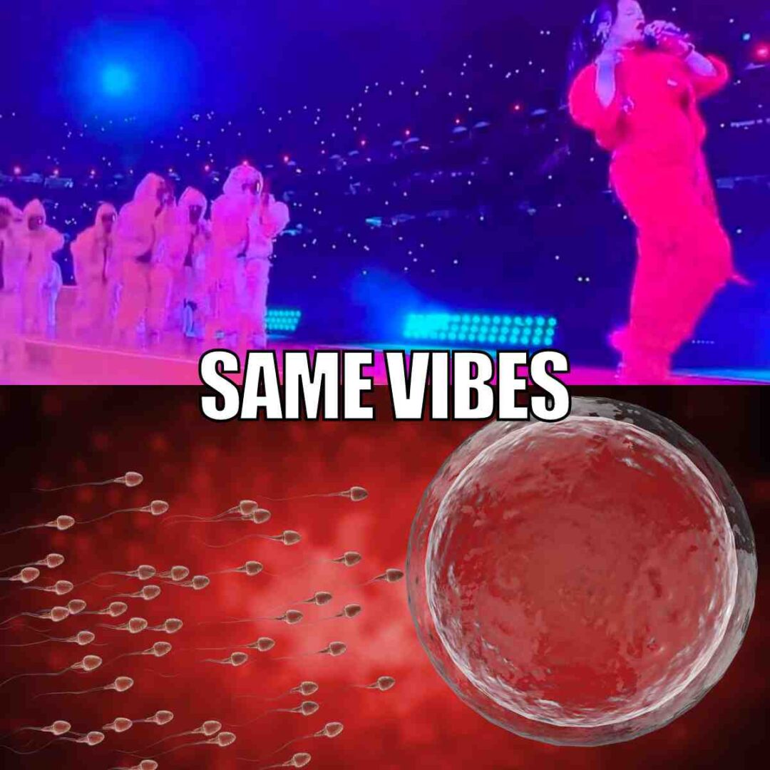 Best Rihanna Memes From Super Bowl 2024