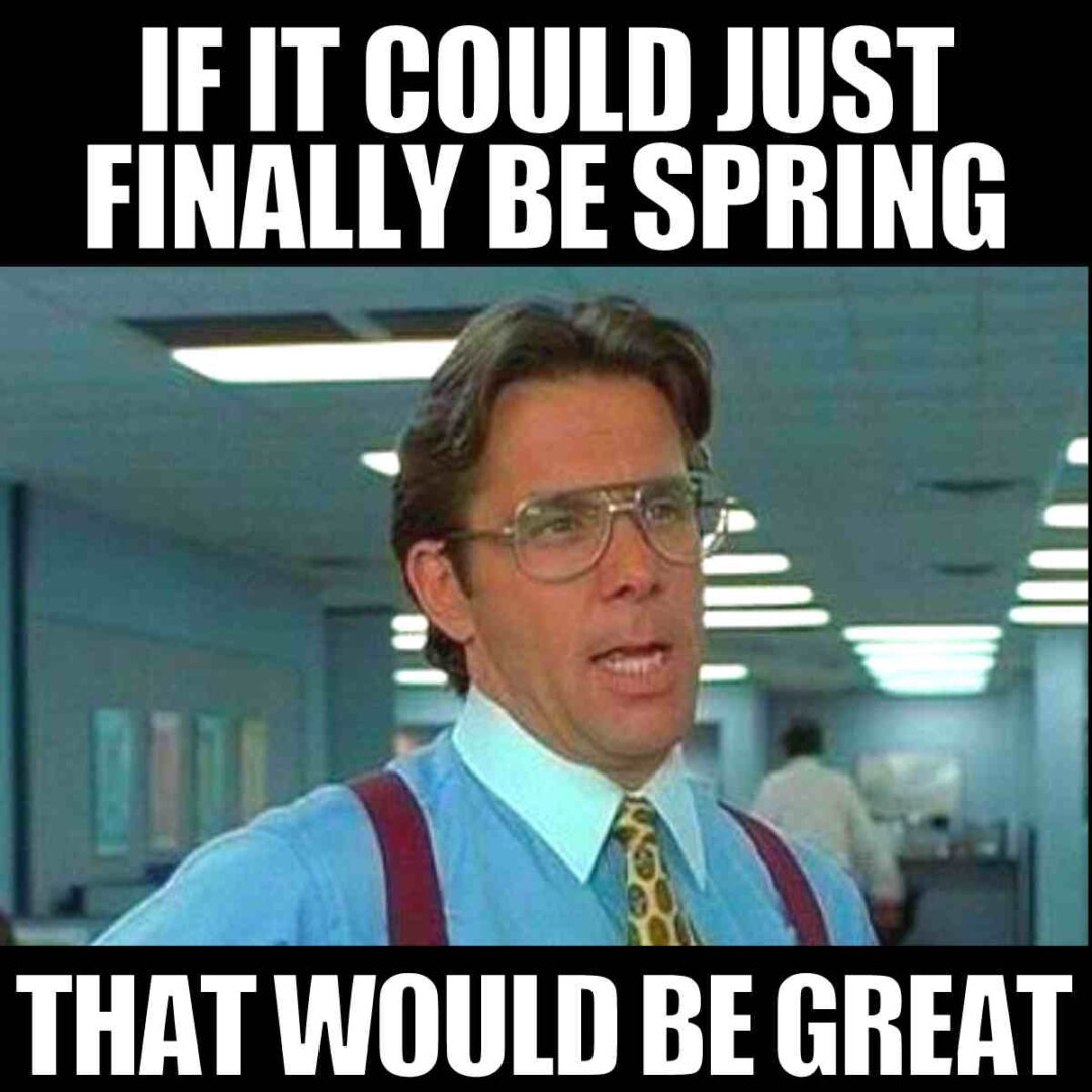 Funny Spring Memes About Pollen, Allergies, And Sneezing 100 Times