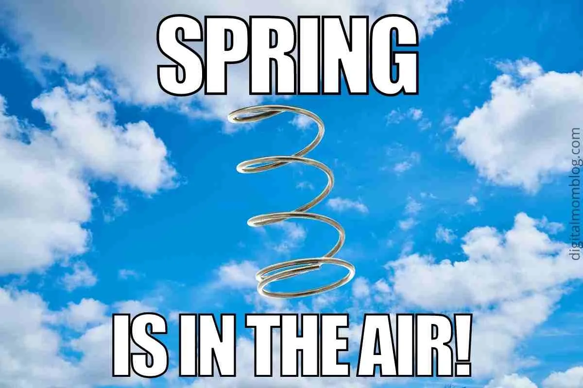Spring Has Arrived Funny Spring Has Arrived Funny