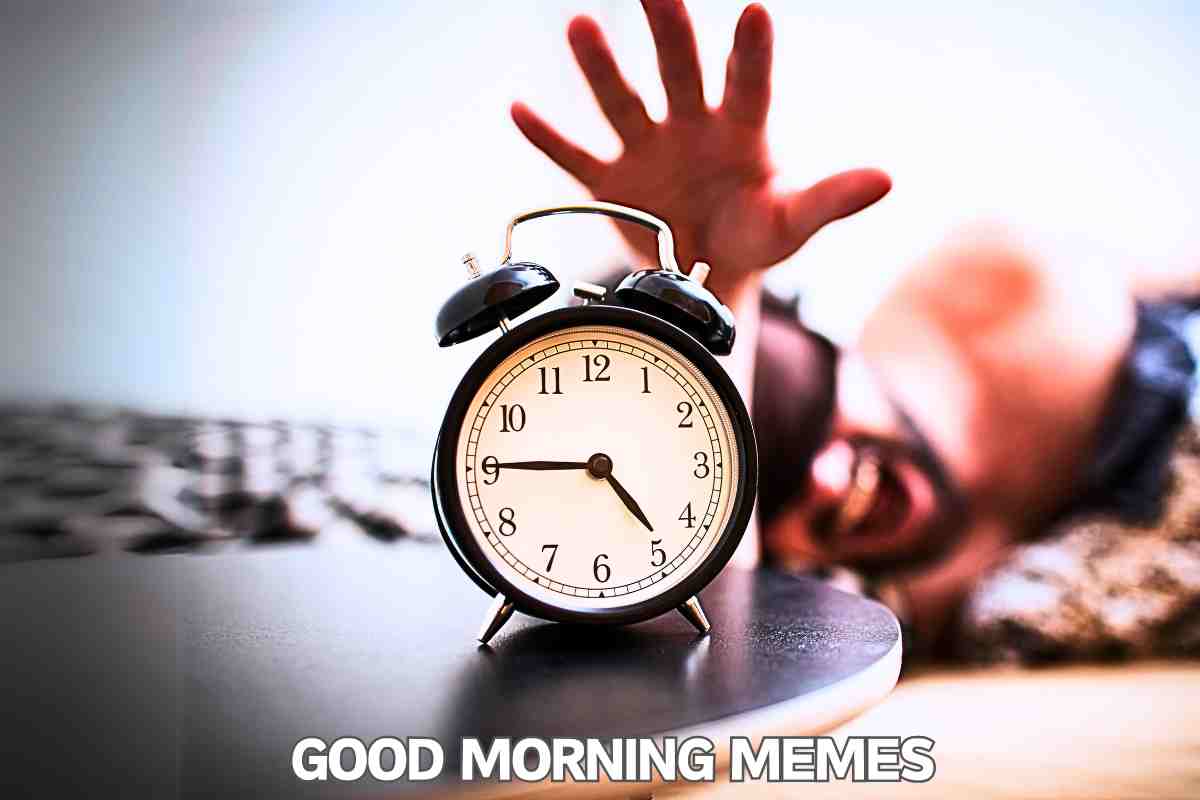 50 Funny Good Morning Memes To Wake Up Your Sense Of Humor
